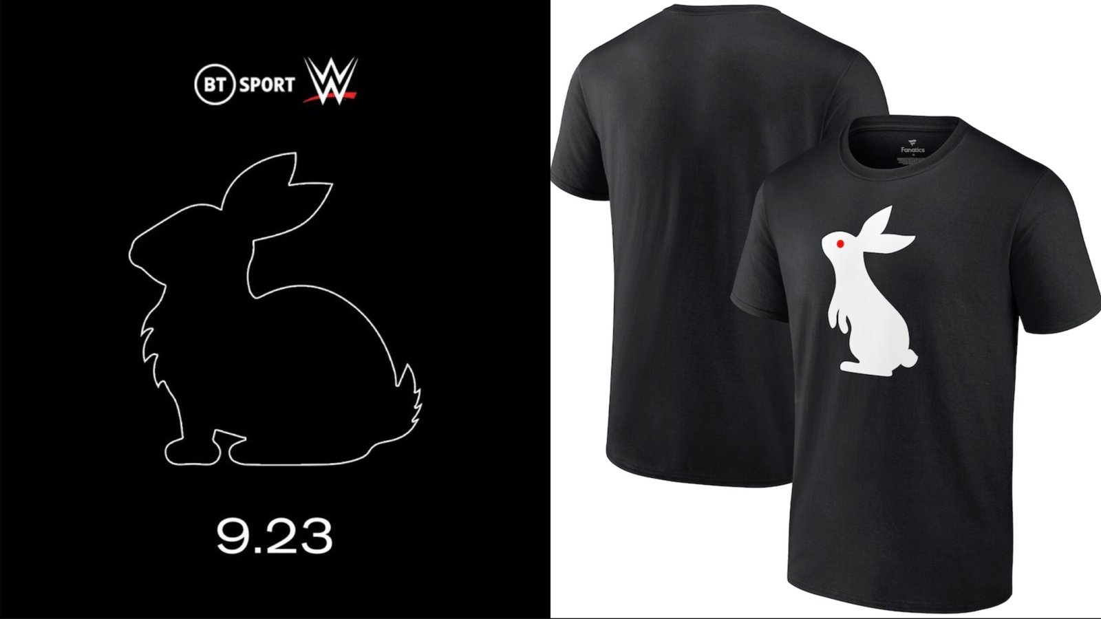 What Is The WWE White Rabbit Mystery?